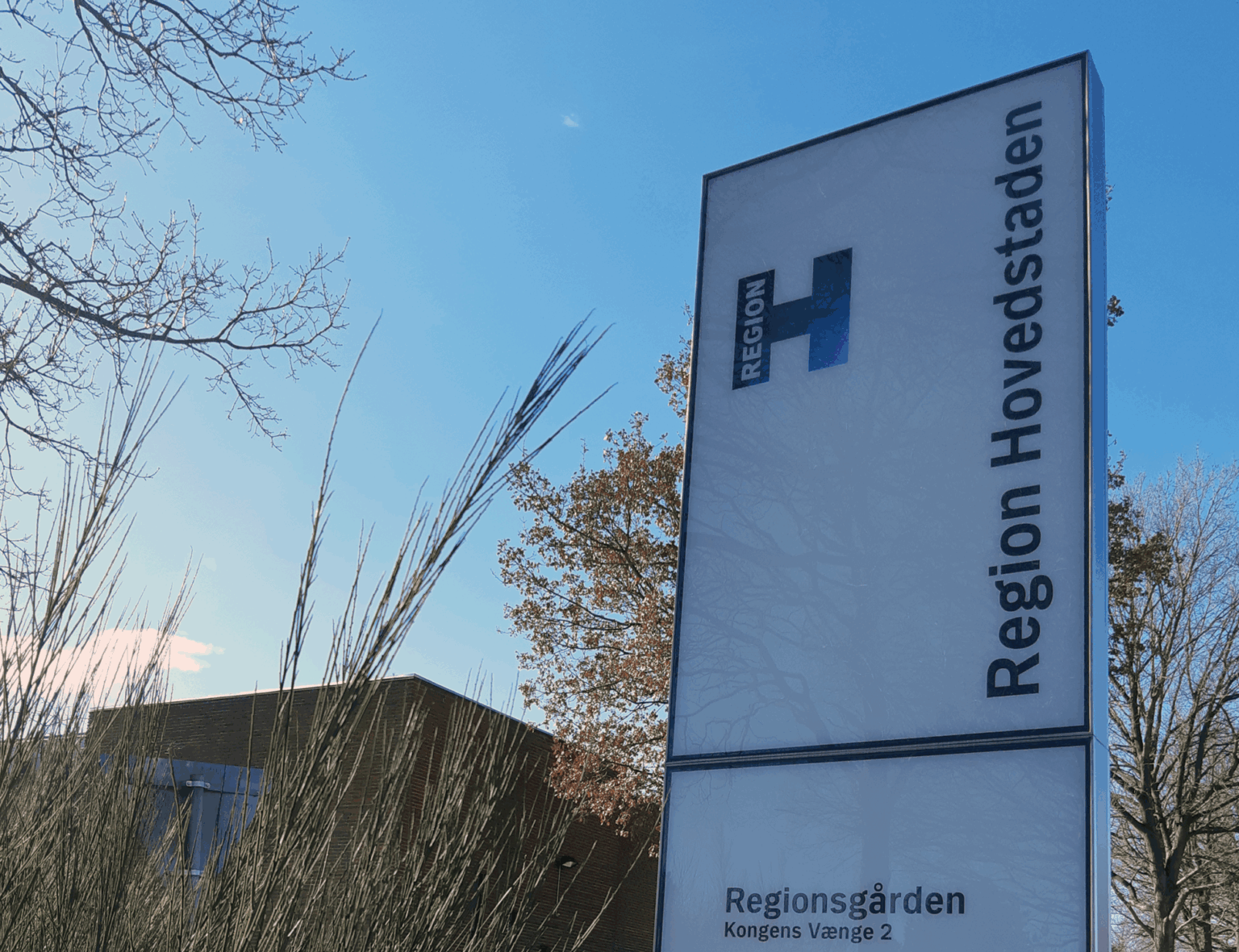 Millionindkøb af lægevikarer uden udbud i Region Hovedstaden - OPS Indsigt